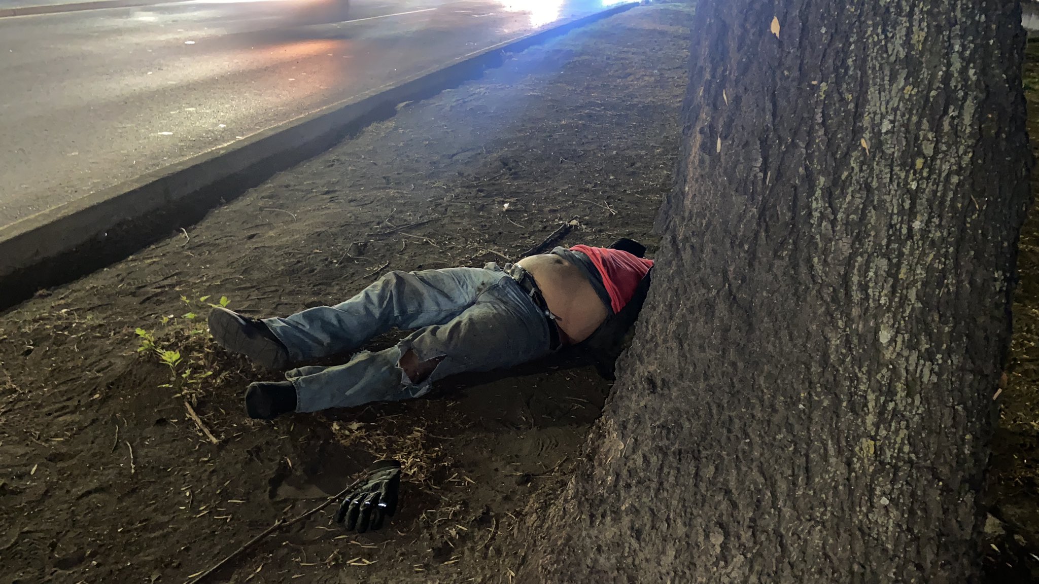 Muere Un Motociclista Tras Impactarse Contra Un árbol En Calzada De Tlalpan
